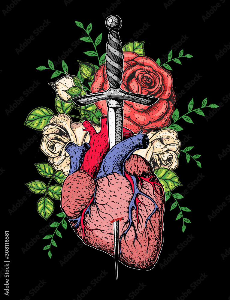 The human heart and roses is pierced with a dagger. Hand drawn vector ...