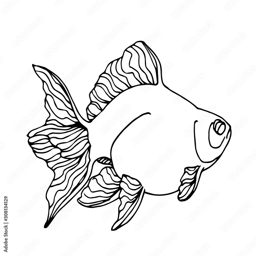 decorative aquarium Golden fish, Chinese crucian, symbol of good luck ...