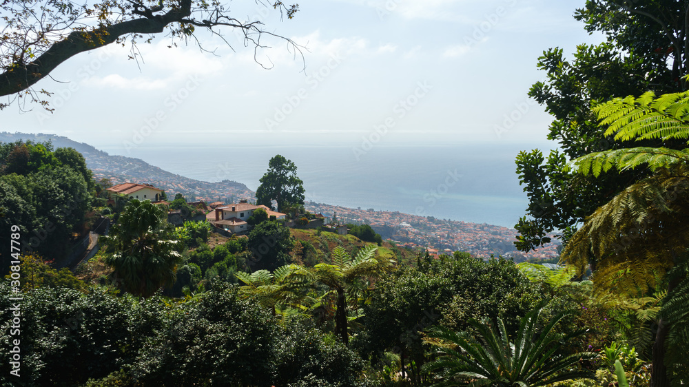 Monte Tropical Gardens with view of palace on Atlantic ocean, Funchal ...