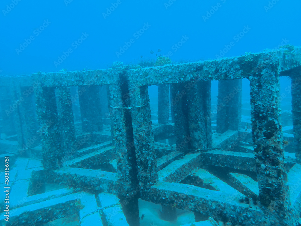 Artificial reef structure in the coral reef Stock Photo | Adobe Stock