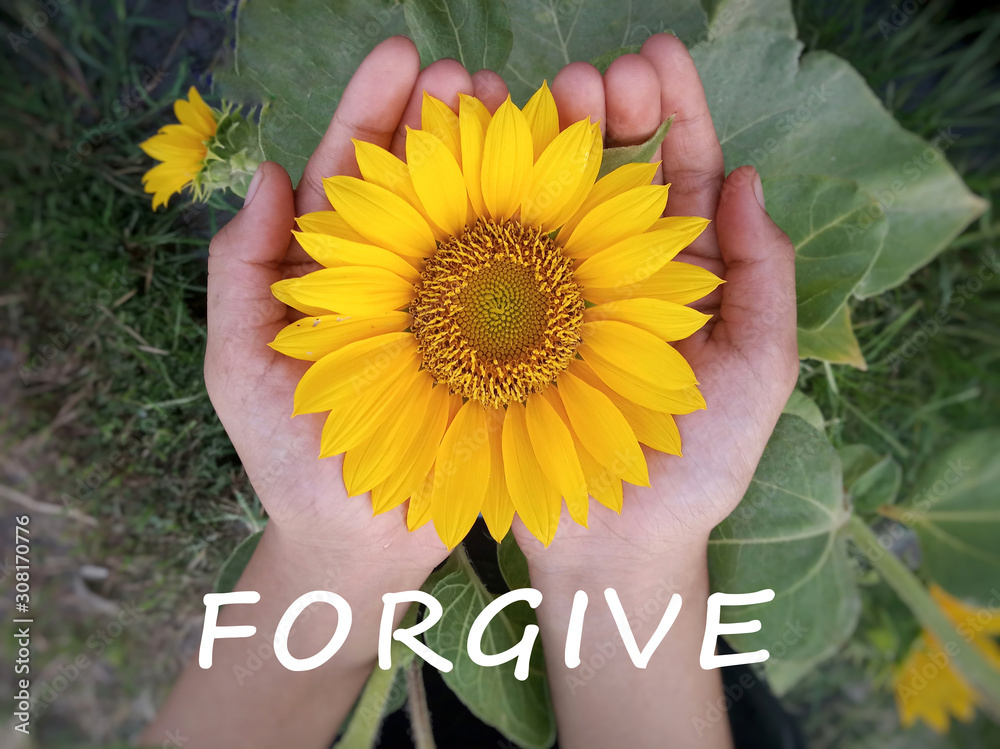 Inspirational quote - Forgive. With top view background of beautiful ...