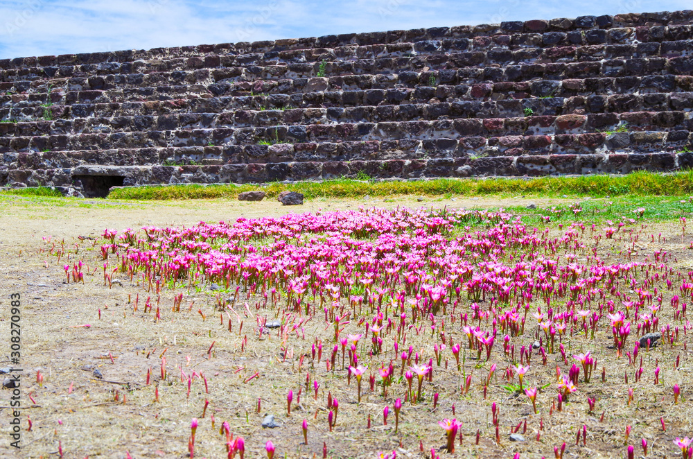 View of the ancient Aztec city ruins of the pyramids of Teotihuacan ...