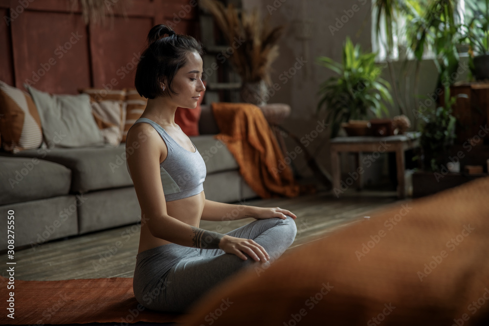 Beautiful young woman practicing yoga at home Stock-Foto | Adobe Stock