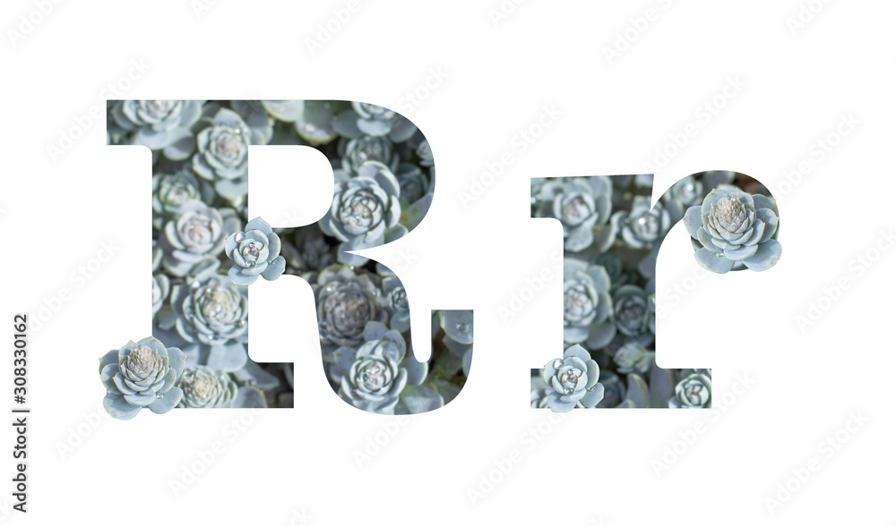 Letter R latin alphabet uppercase and lowercase isolated on white Stock ...