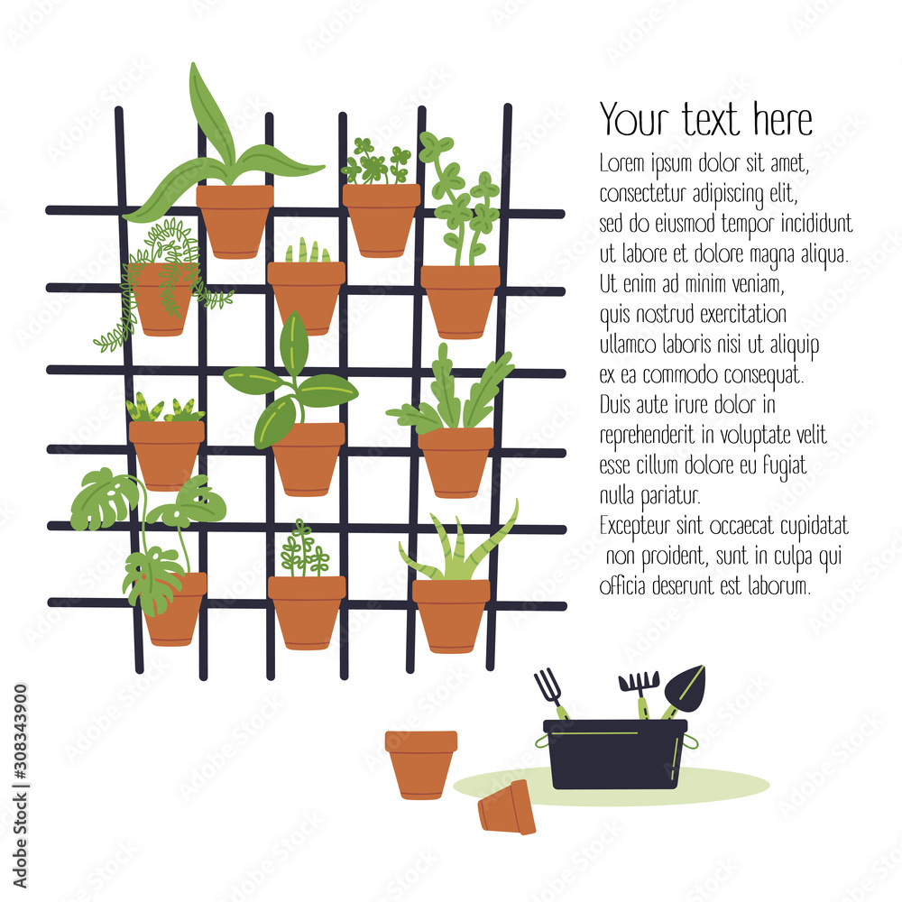 Decorative vertical garden concept.Plants grow in pots on a grid.Box ...