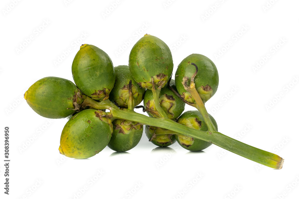 Fresh Areca nut palm or Betel nut palm (Areca catechu Linn.) isolated ...