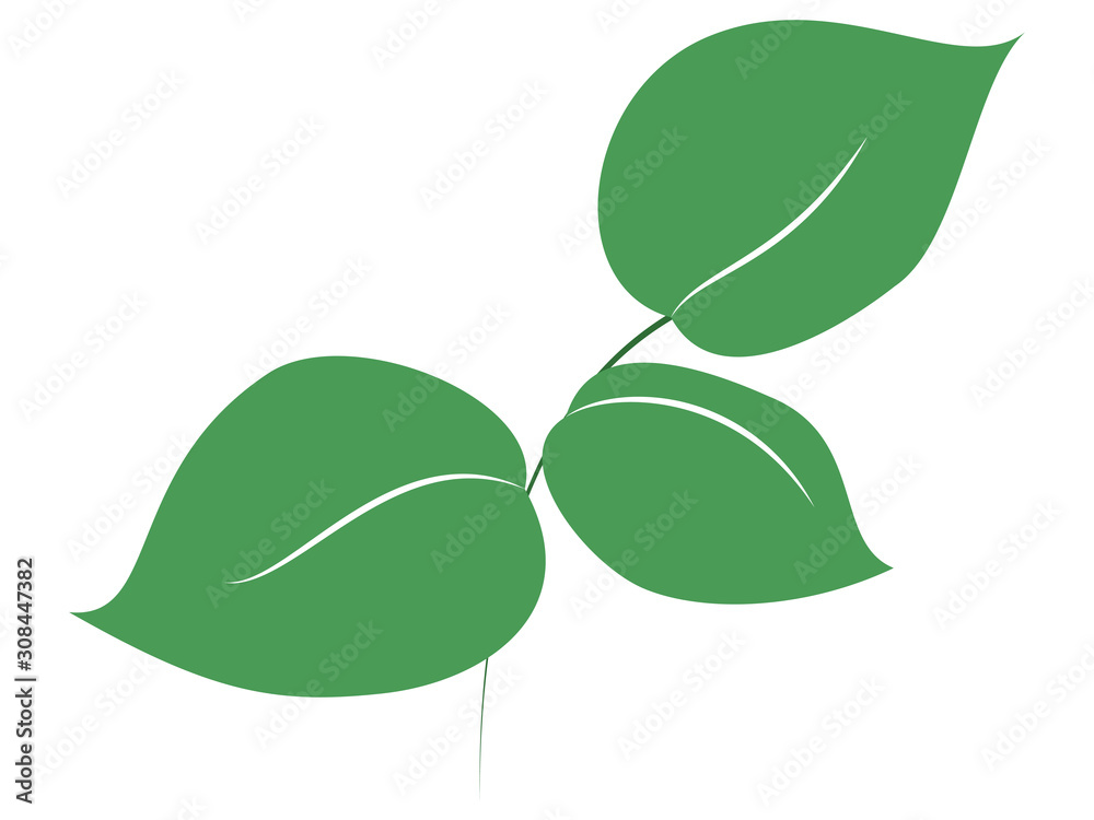 緑の植物のイラスト Stock ベクター | Adobe Stock