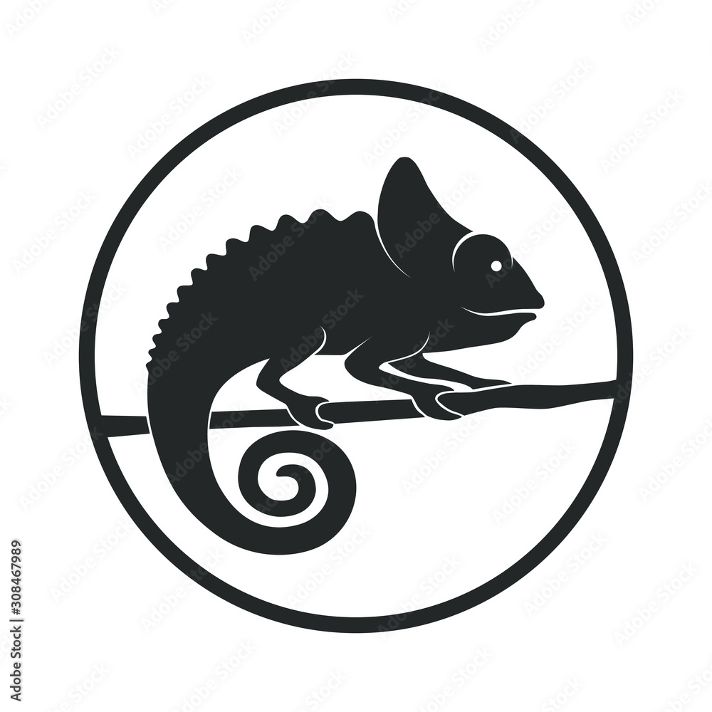 Chameleon Icon