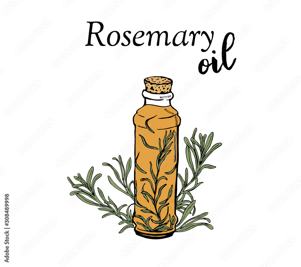 Vector composition with rosemary oil bottle. Isolated set for packaging ...