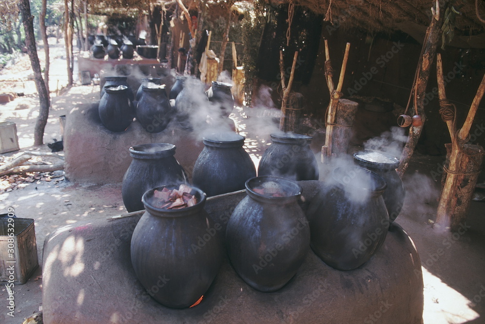 Village 'katha' making unit. Acacia Catechu. Family: Mimosaceae. To ...