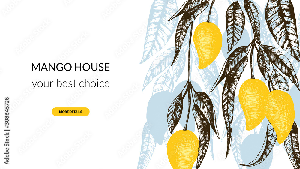 Stock vector illustration with mango fruit banner. Hand drawn fruit ...