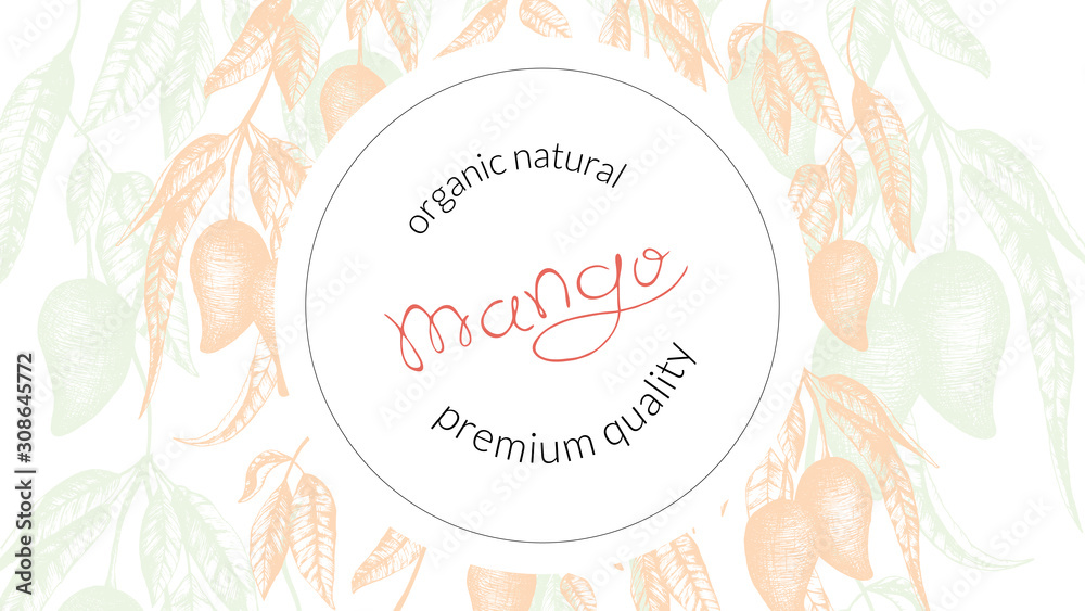 Stock vector illustration with mango fruit banner. Hand drawn fruit ...