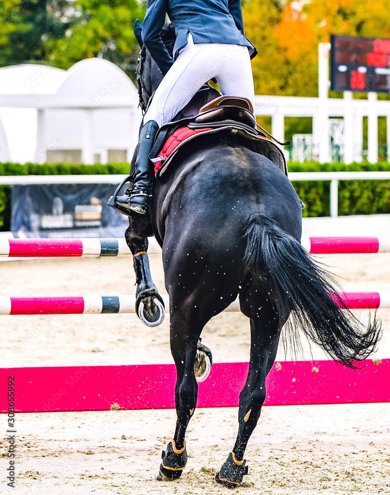 Beautiful girl on black horse in jumping show, equestrian sports. Horse ...