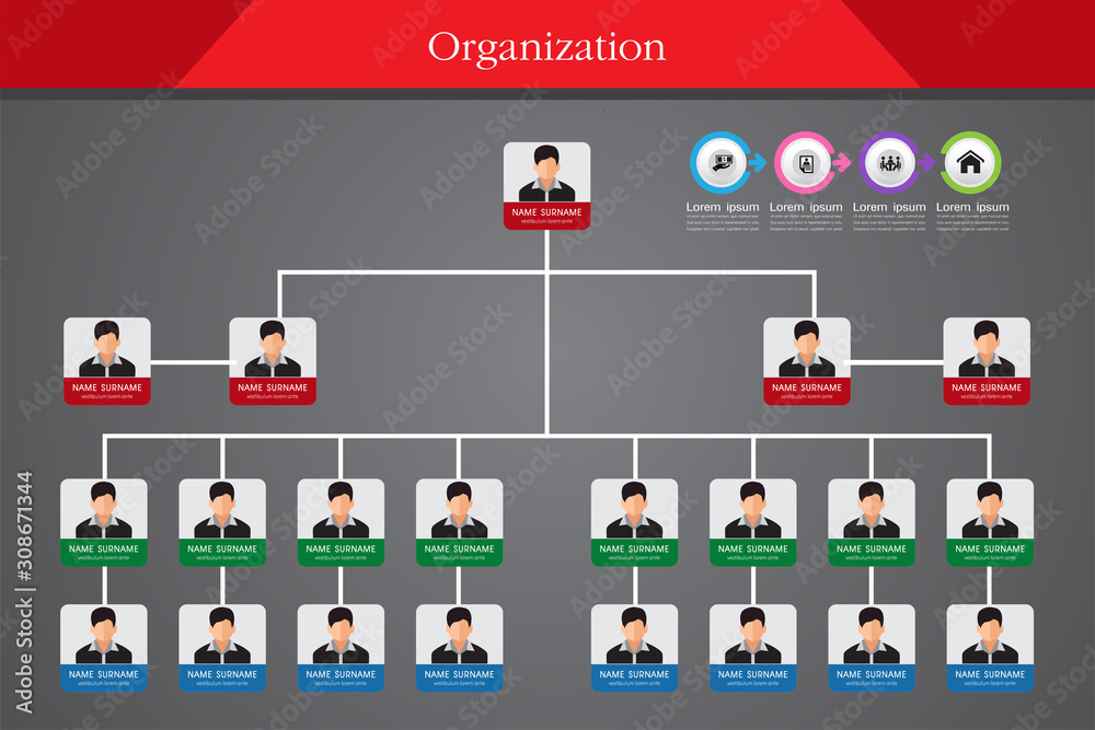 Organization Chart Infographics Stock Vector | Adobe Stock