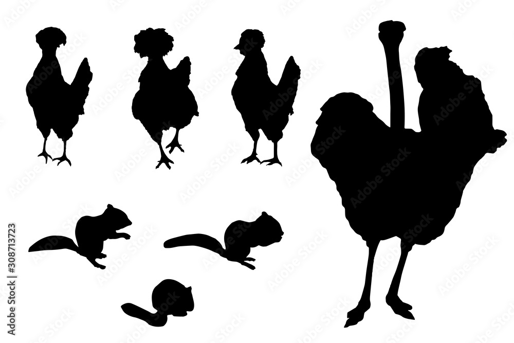 Outline drawing of an ostrich, chicken, chipmunk. Black silhouette on a ...