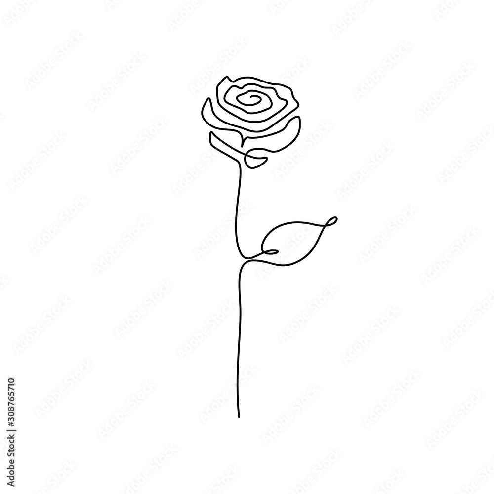 Continuous one line drawing rose flower. Vector illustration. Stock ...