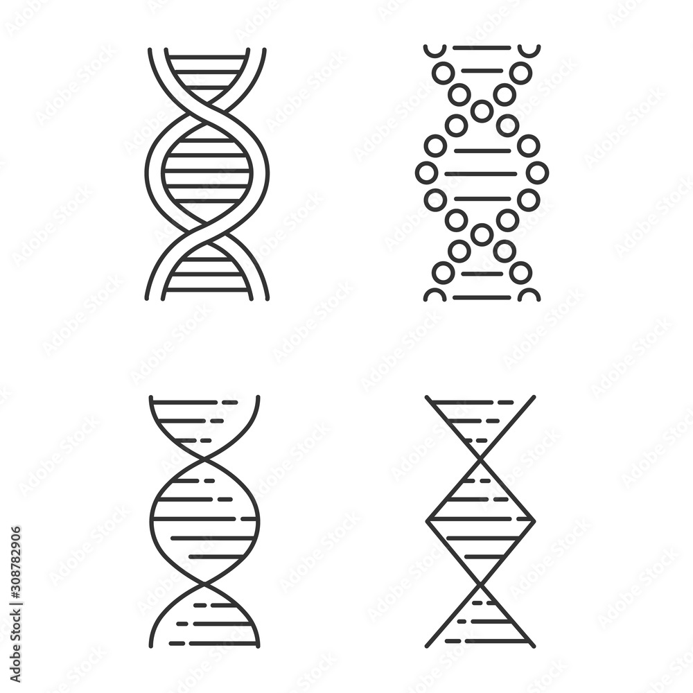 DNA spiral strands linear icons set. Deoxyribonucleic, nucleic acid ...