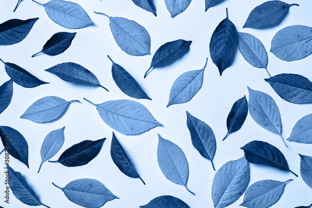 Classic blue background. Colored leaves, copy space. Color of the year ...