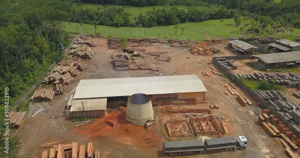Logging in Santo Antônio do Matupi is one of the main causes of ...