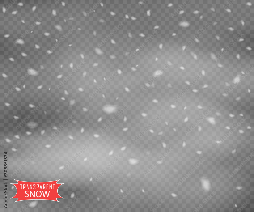 The snow is flying and the wind is blowing on a transparent background ...