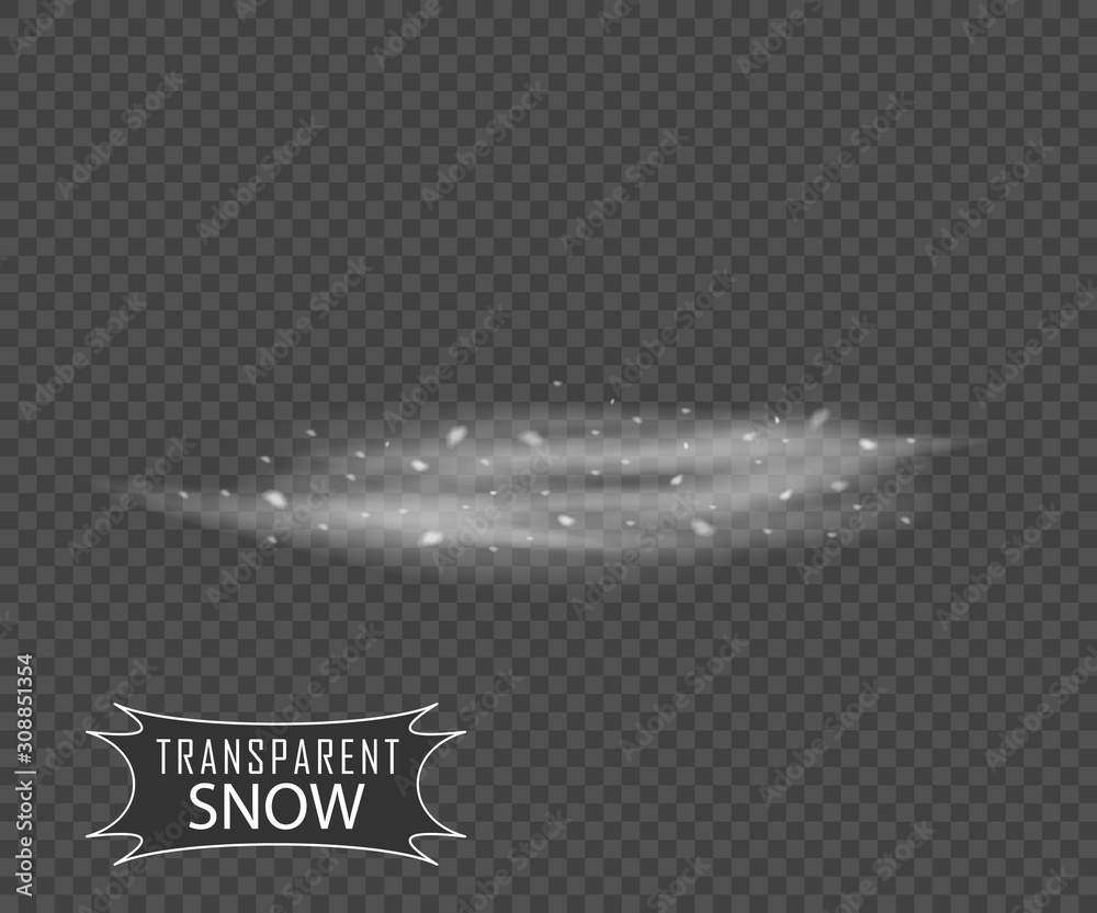 The snow is flying and the wind is blowing on a transparent background ...