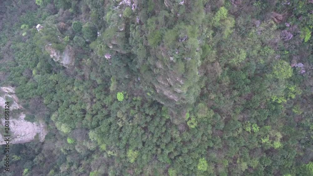Stockvideon Flying over a tall rock pillar (close by) with vegetation ...