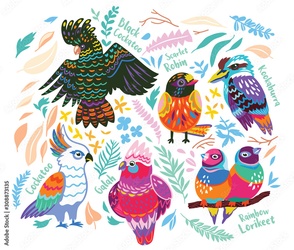 Collection of Australian Birds in vector, cartoon style Stock Vector ...