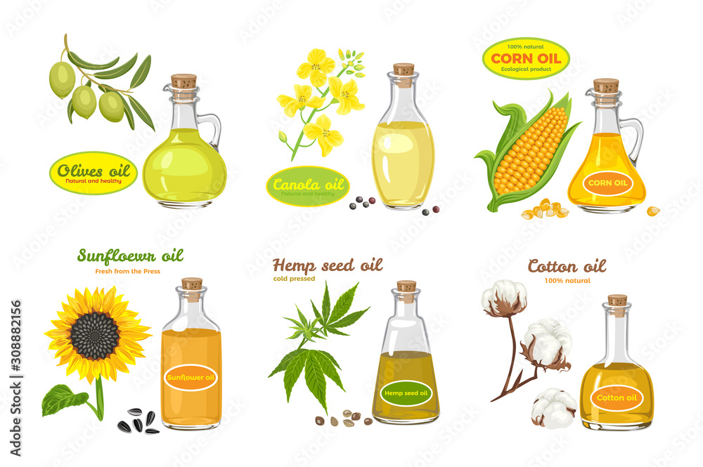 Vetor de Vector set of seed oils isolated on white. Illustration in ...