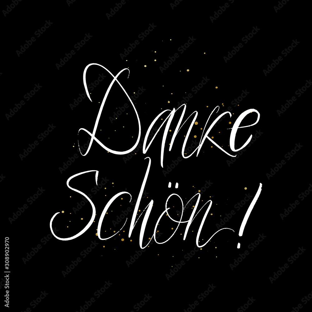 Danke Schon brush paint hand drawn lettering on black background with ...