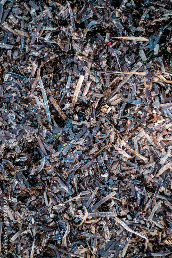 Brown seaweed rushed up on the shore of a beach, paralel full frame ...