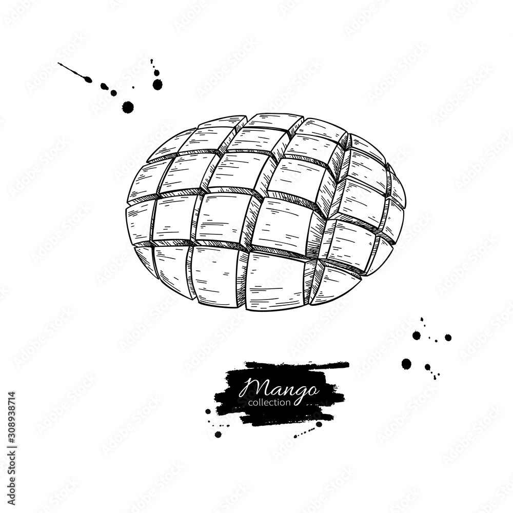 Mango vector drawing. Hand drawn tropical fruit illustration. Stock ...