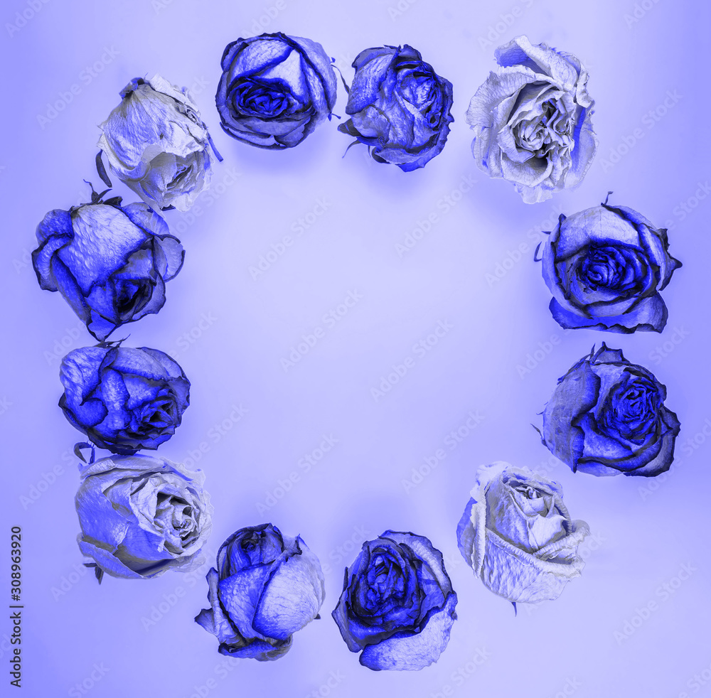 A layout of dried rose flower heads laid out in a circle of a blue ...