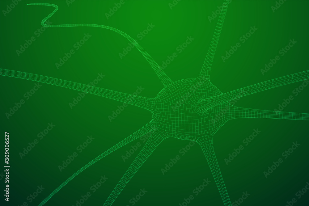 Neuron system wireframe mesh model. Low poly vector illustration ...