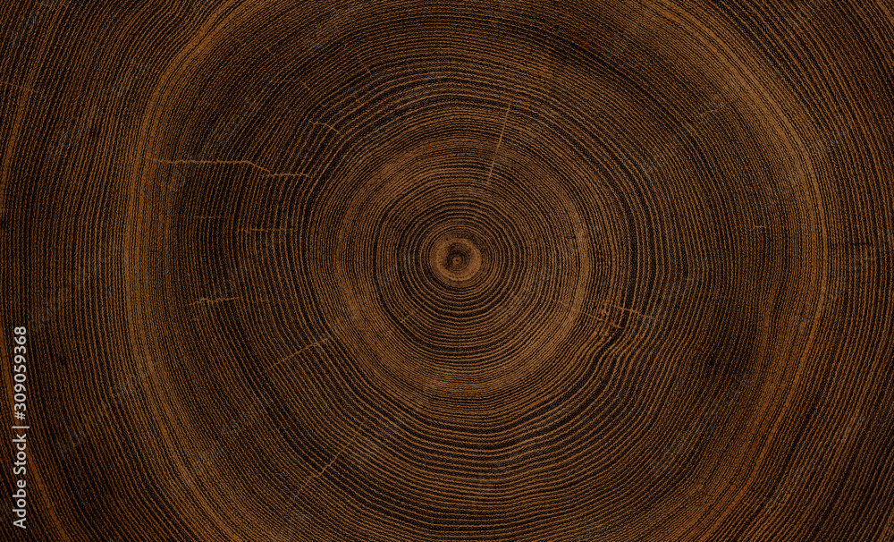 Old wooden oak tree cut surface. Detailed warm dark brown and orange ...