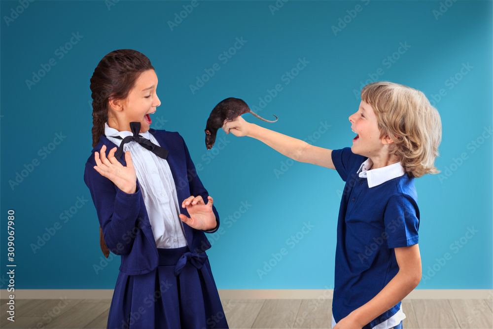 Boy with rat teasing scared girl at school. Psychological bullying ...