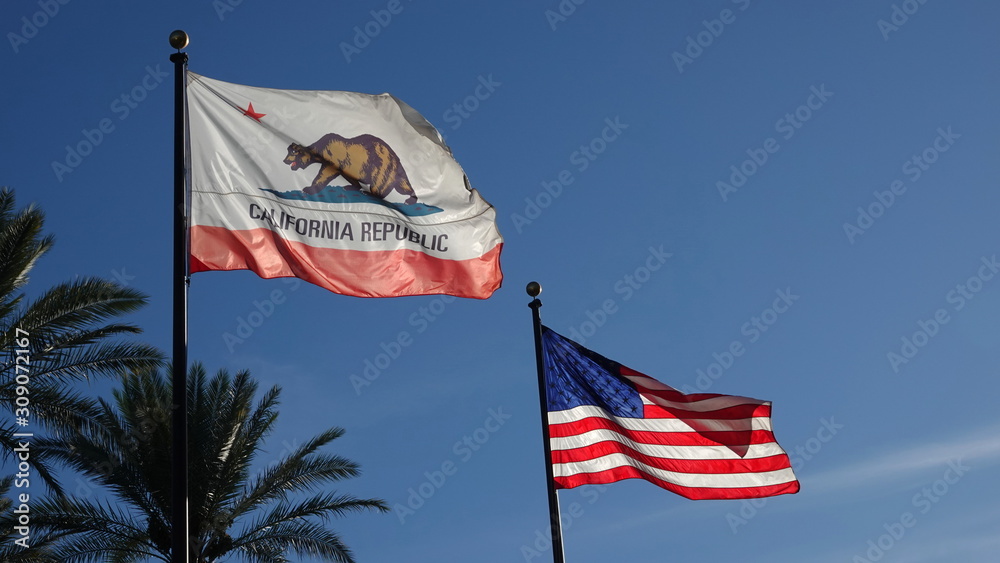 California and US flags flying in blue sky, with palm trees Stock Photo ...