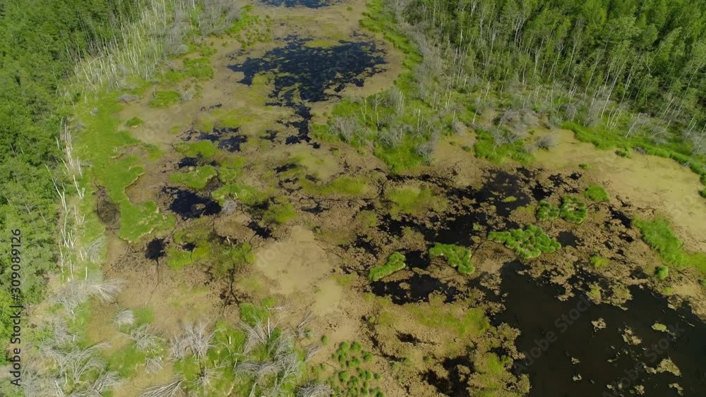 Drone forward peat bog peatery turbary glacial wetland swamp bog ...