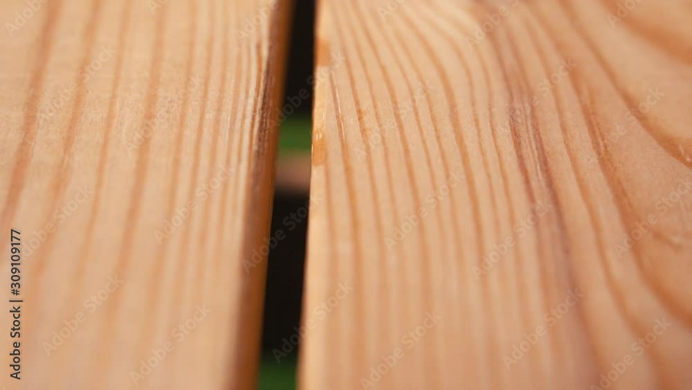 shot of a precious wood in which you can see the color, the wood grain ...