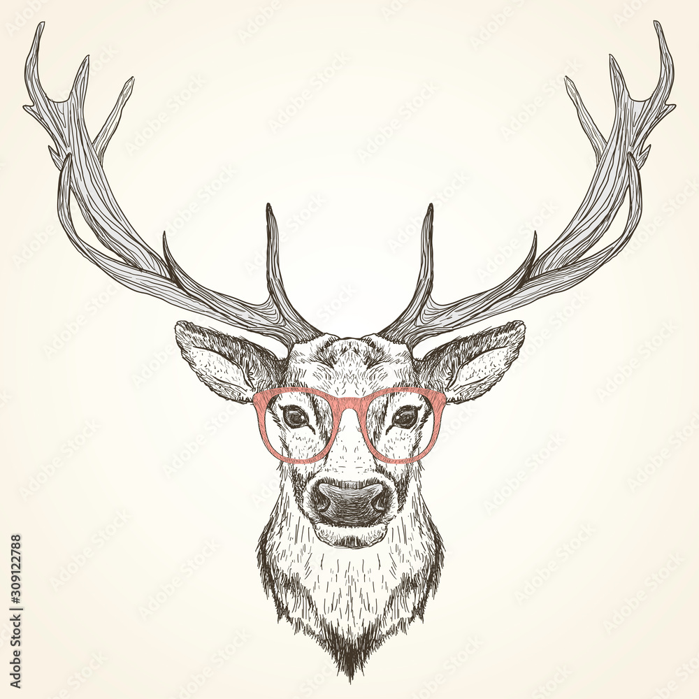 Buck Head Drawings In Pencil