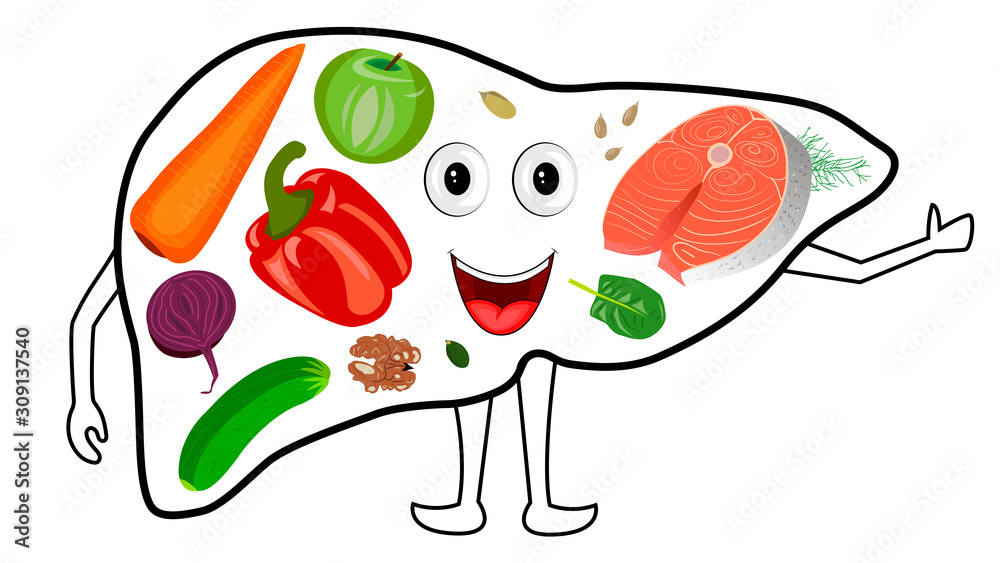 Food for a healthy liver. The liver smiles and shows a thumbs up. Stock ...