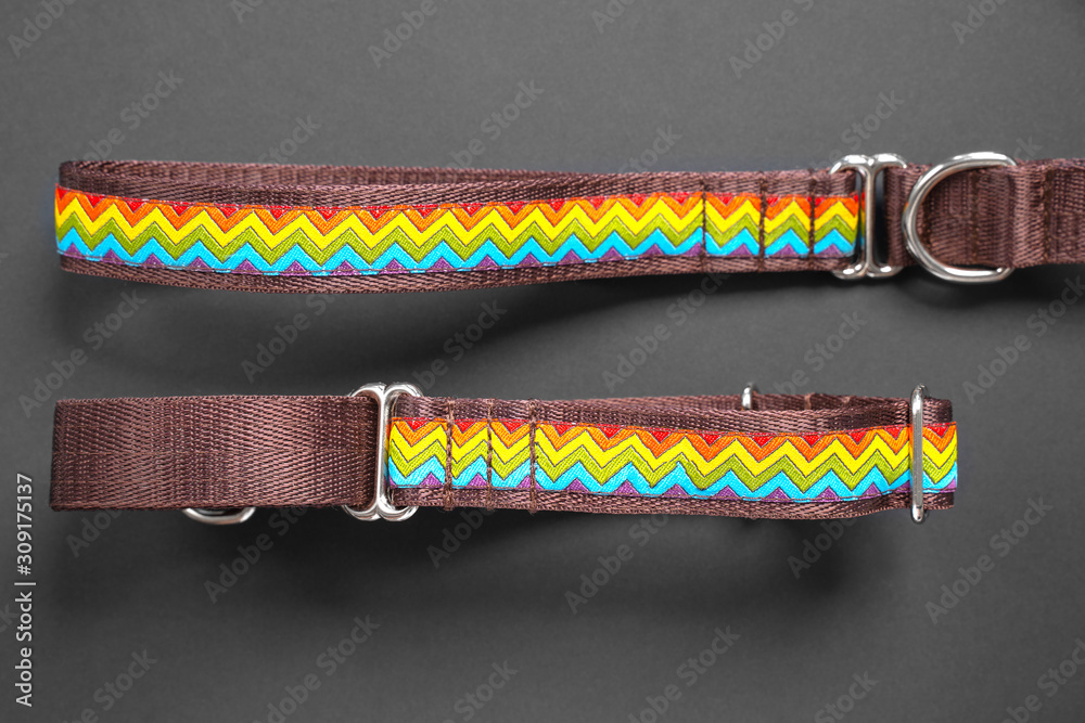 top view сolorful dog collar and leash from silky tape, one side is ...