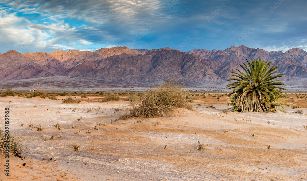 Sandy desert area in nature reserve and ecological ancient park ...