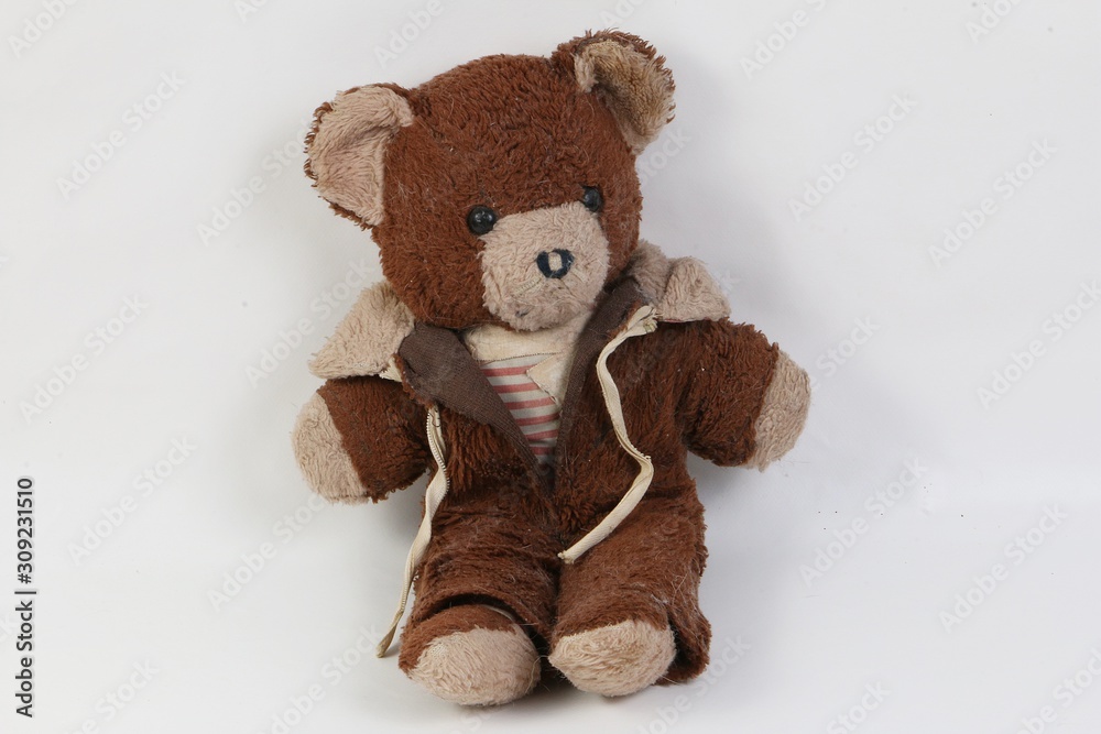 Damaged Teddy Bear