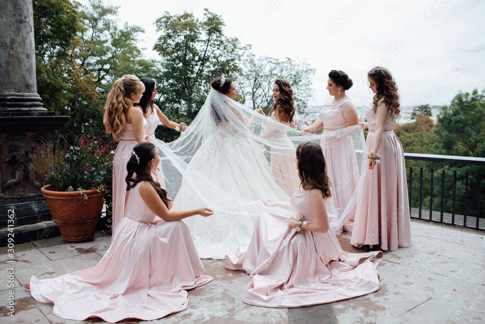 Beautiful and elegant bride with bridesmaids. Bridesmaids, along with ...