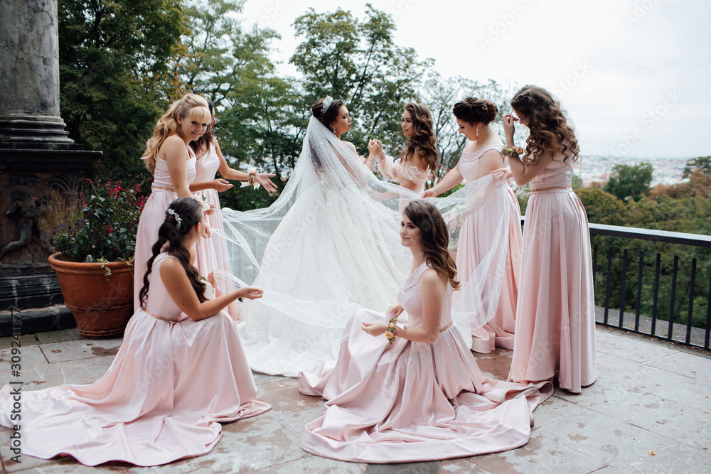 Beautiful and elegant bride with bridesmaids. Bridesmaids, along with ...