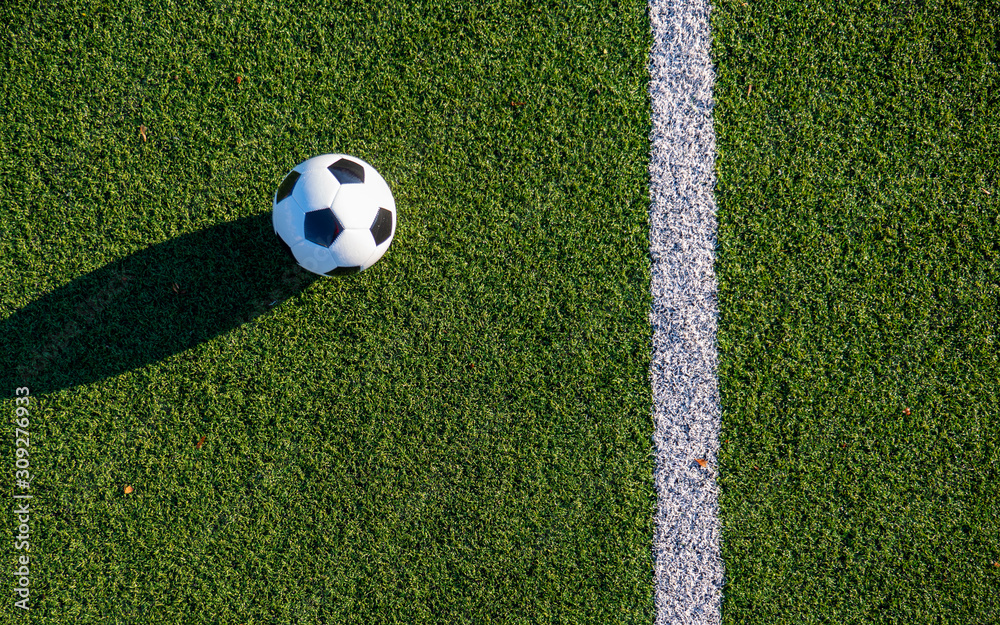Shot from above. The ball next to the end line of the green football ...