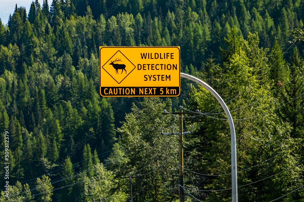 High yellow warning road Sign, wildlife detection system, with elk ...
