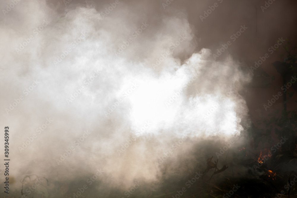 White thick smoke coming out of fire when dry leaves caught fire at ...