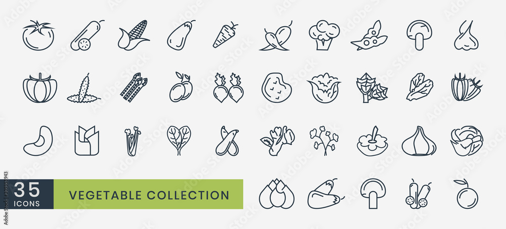 Vegetable icon. Collection of web symbols with minimal thin line art ...
