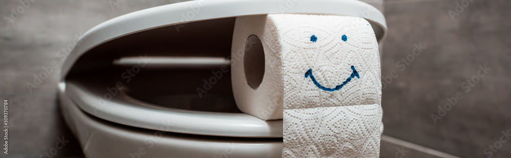 close up view of ceramic clean toilet bowl and toilet paper with smiley ...